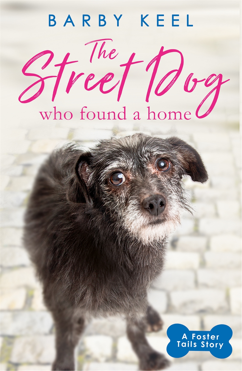 The Street Dog Who Found a Home by Barby Keel | Orion - Bringing You ...